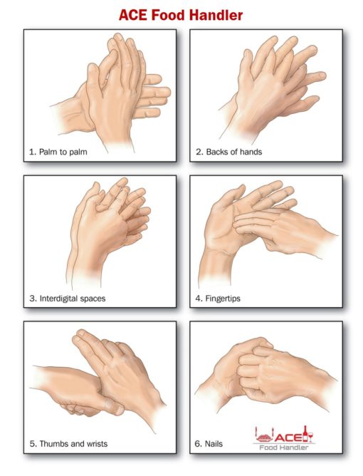 Why Hand Washing is important for Texas Food Handlers - Ace Food Handler™