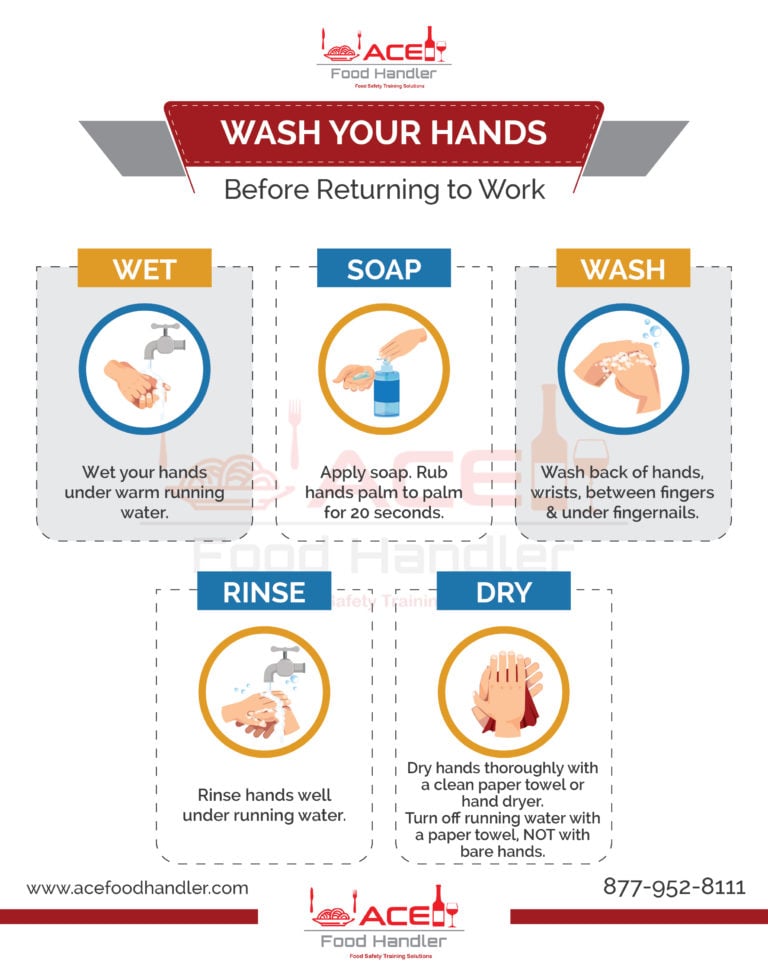 When a Food Handler Should Wash their hands